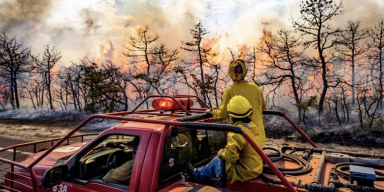 Home [www.merchantville.com]